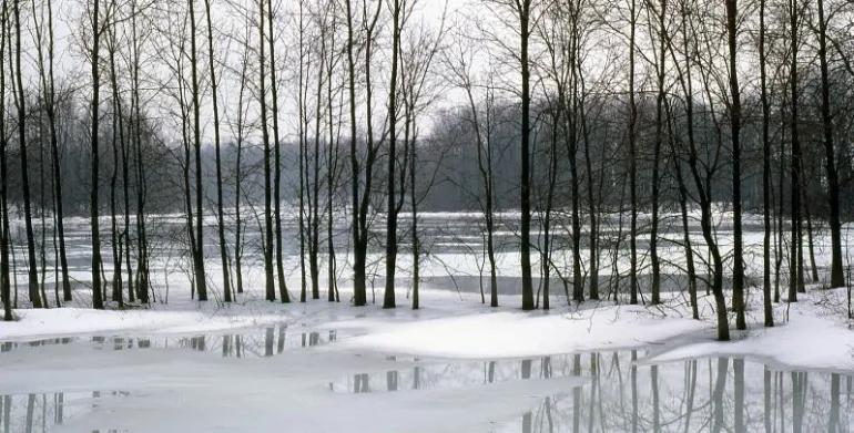 Tri-Boro Chamber of Commerce